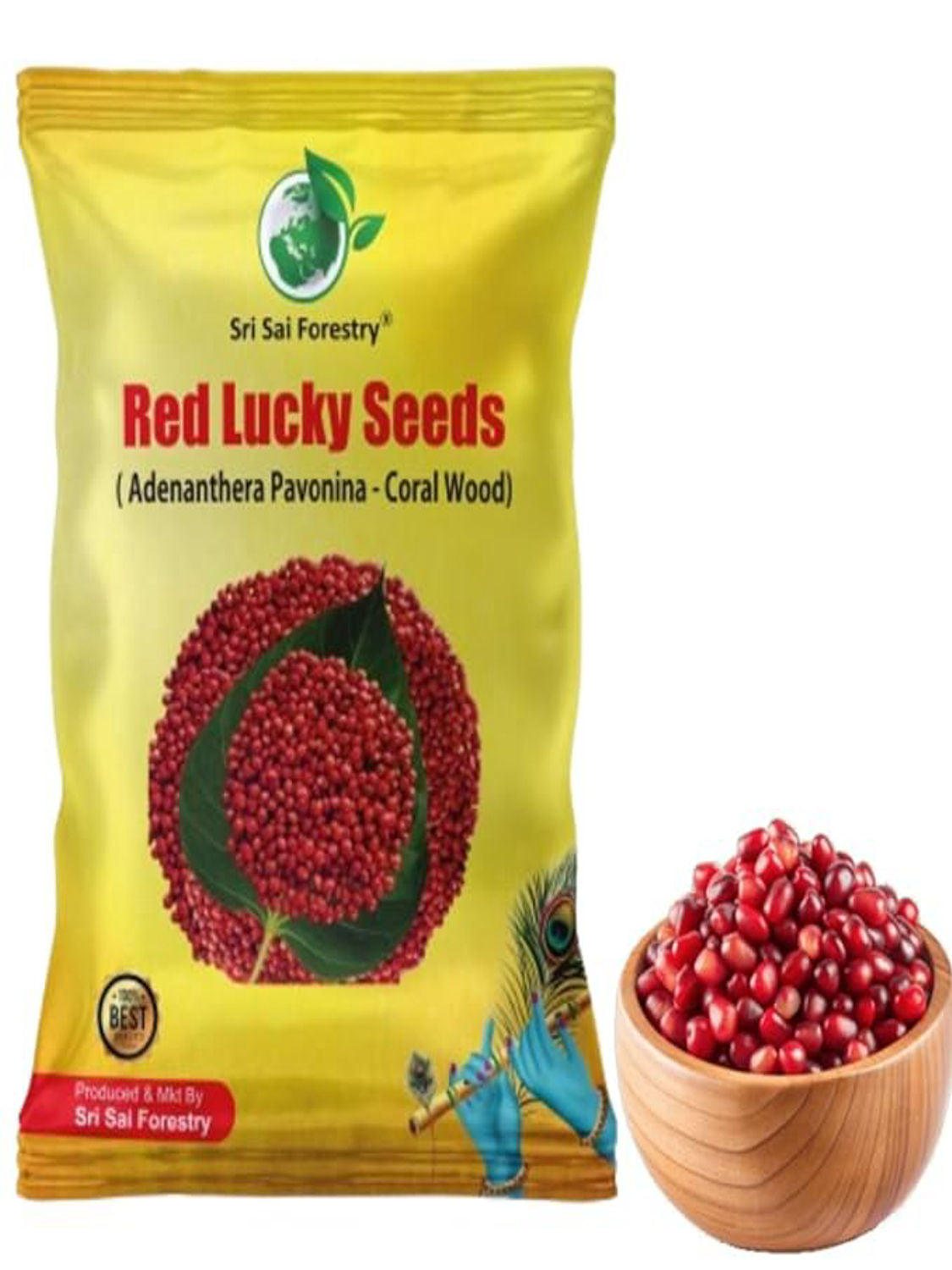 Coral Wood Tree Seeds (Adenanthera Pavonina) – Red Lucky Seeds – SRI ...