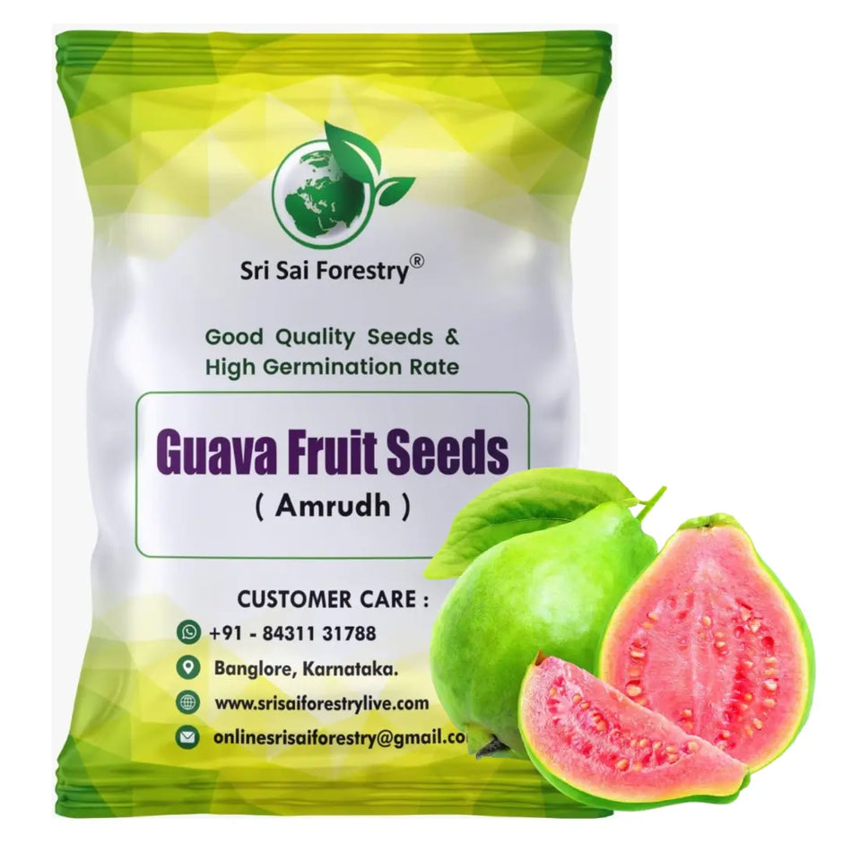 Fruit Tree Seeds - SRI SAI FORESTRY