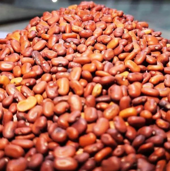 Natural Organic Green Manure Seeds - SRI SAI FORESTRY