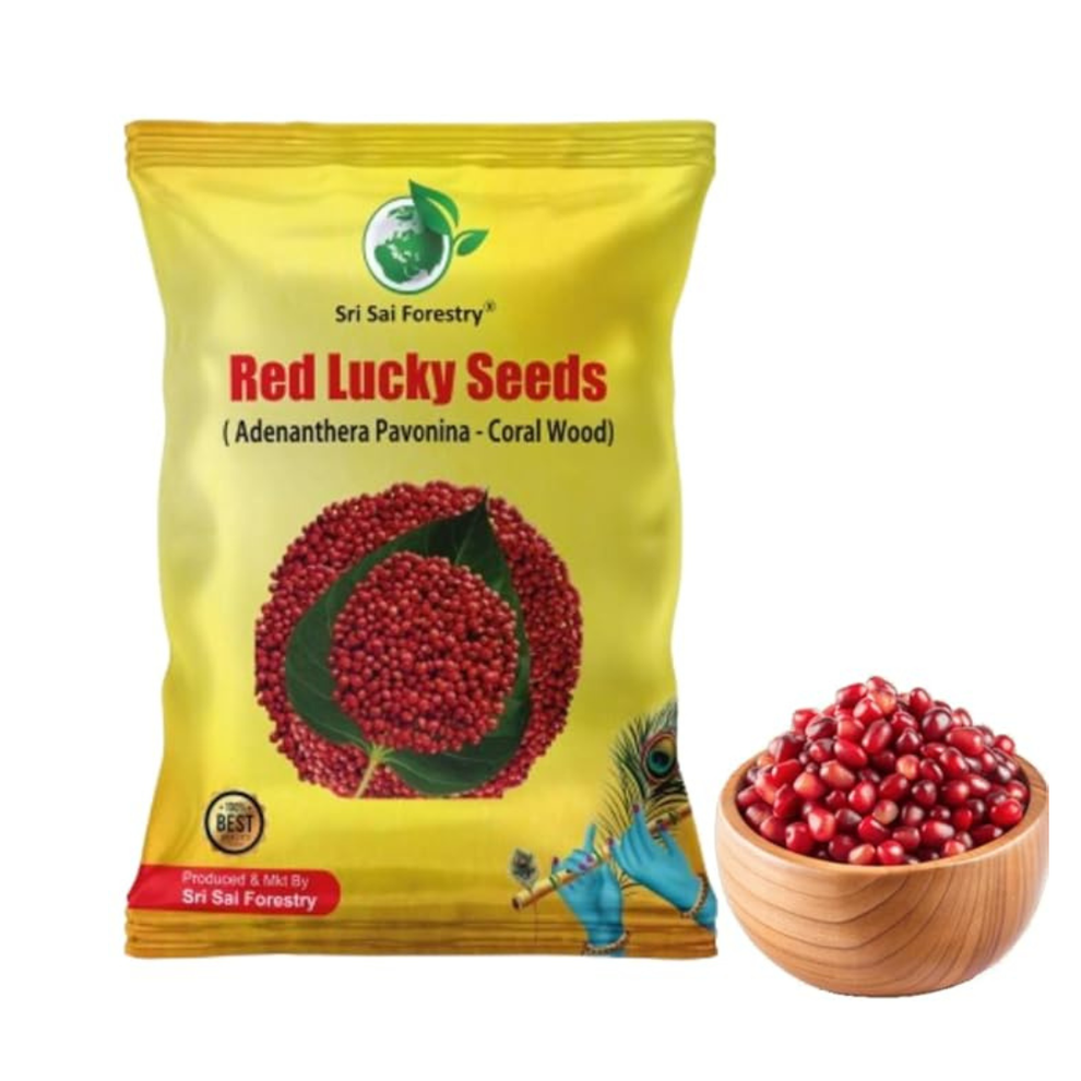 Red Lucky Seeds - Coral Wood Tree Seeds (Adenanthera Pavonina) – SRI ...