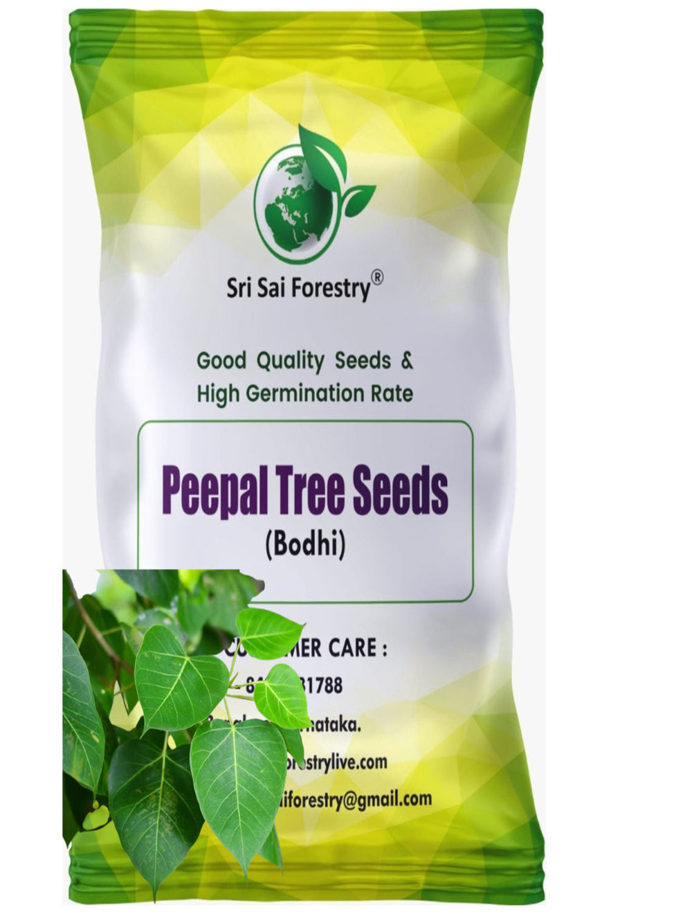 Peepal Tree Seeds – Ficus Religiosa for Avenue and Shade Trees – SRI ...