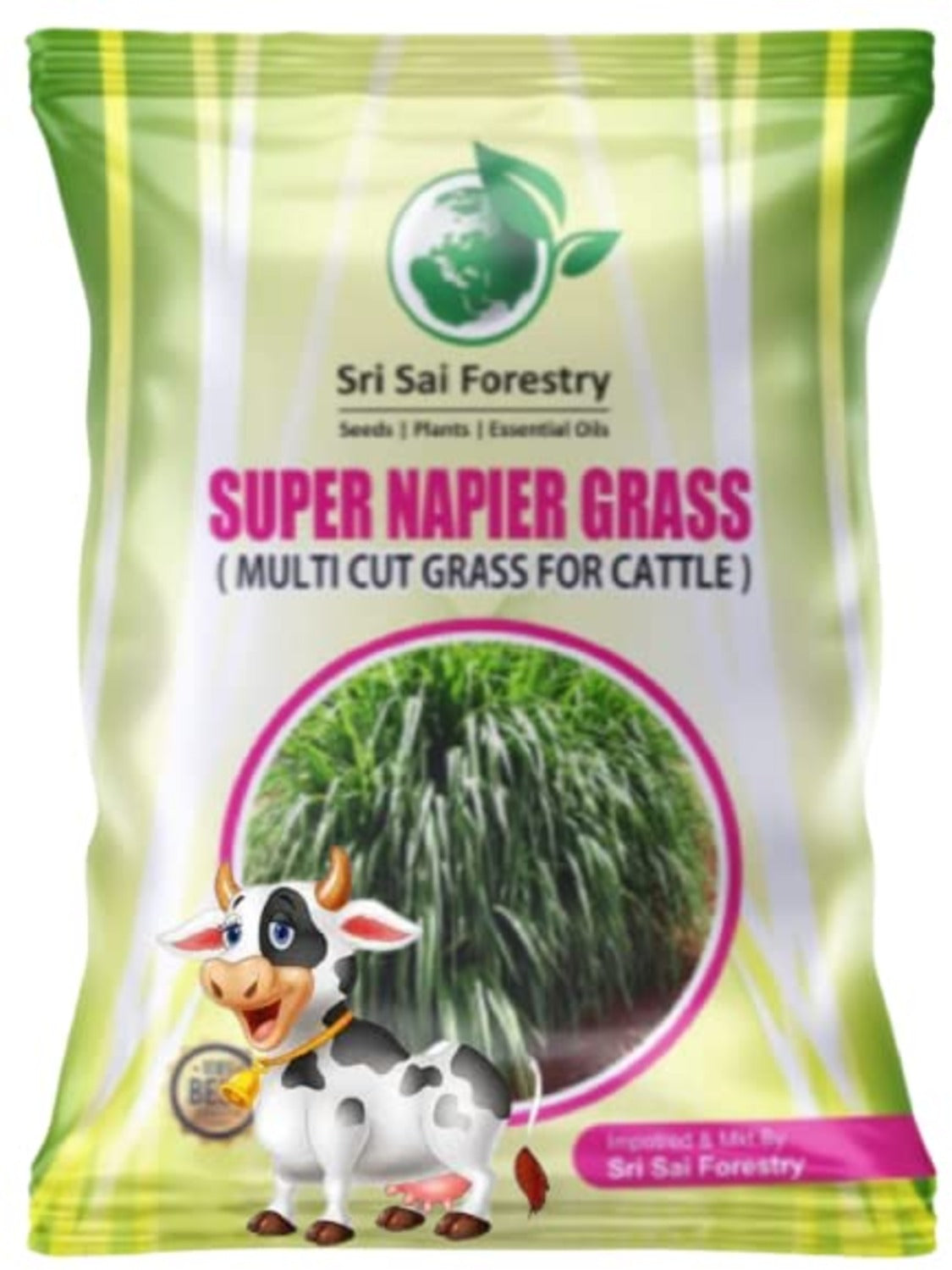 Super Napier Grass Seeds for Cattle | High Yield Hybrid Multi Cut – SRI ...